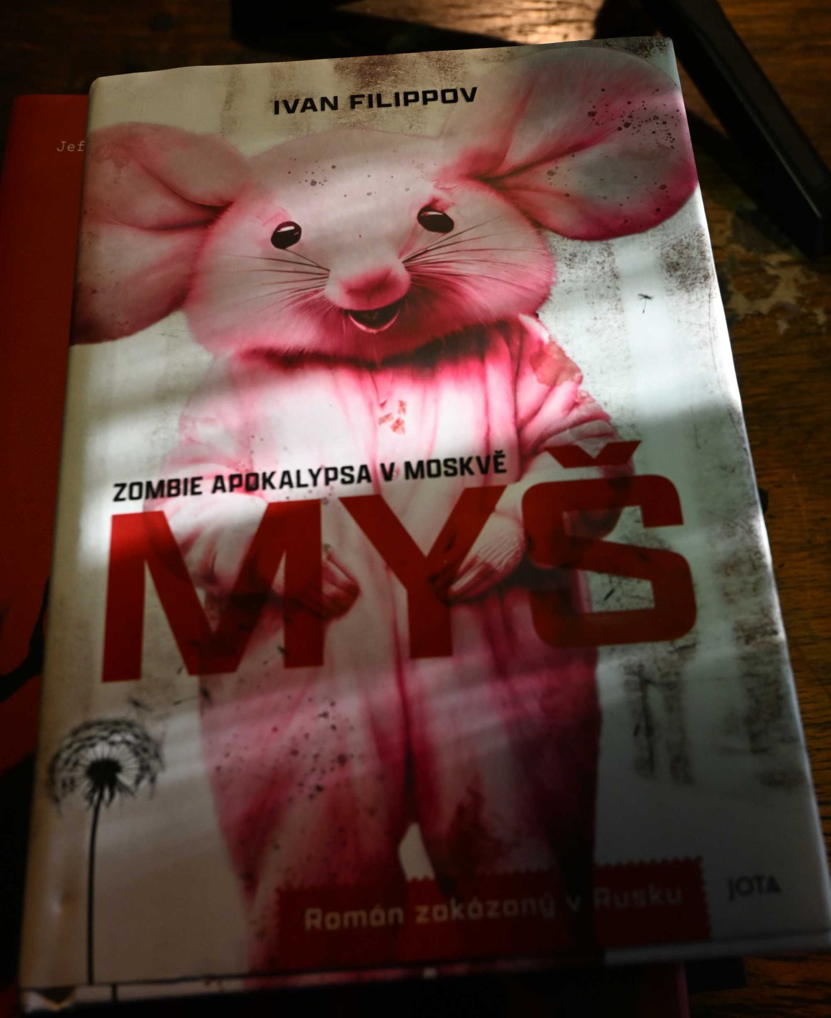 Myš – naseveru.net